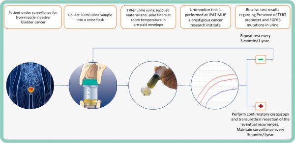 UROMONITOR | Non-Invasive Surveillance of Bladder Cancer - UROMONITOR ...